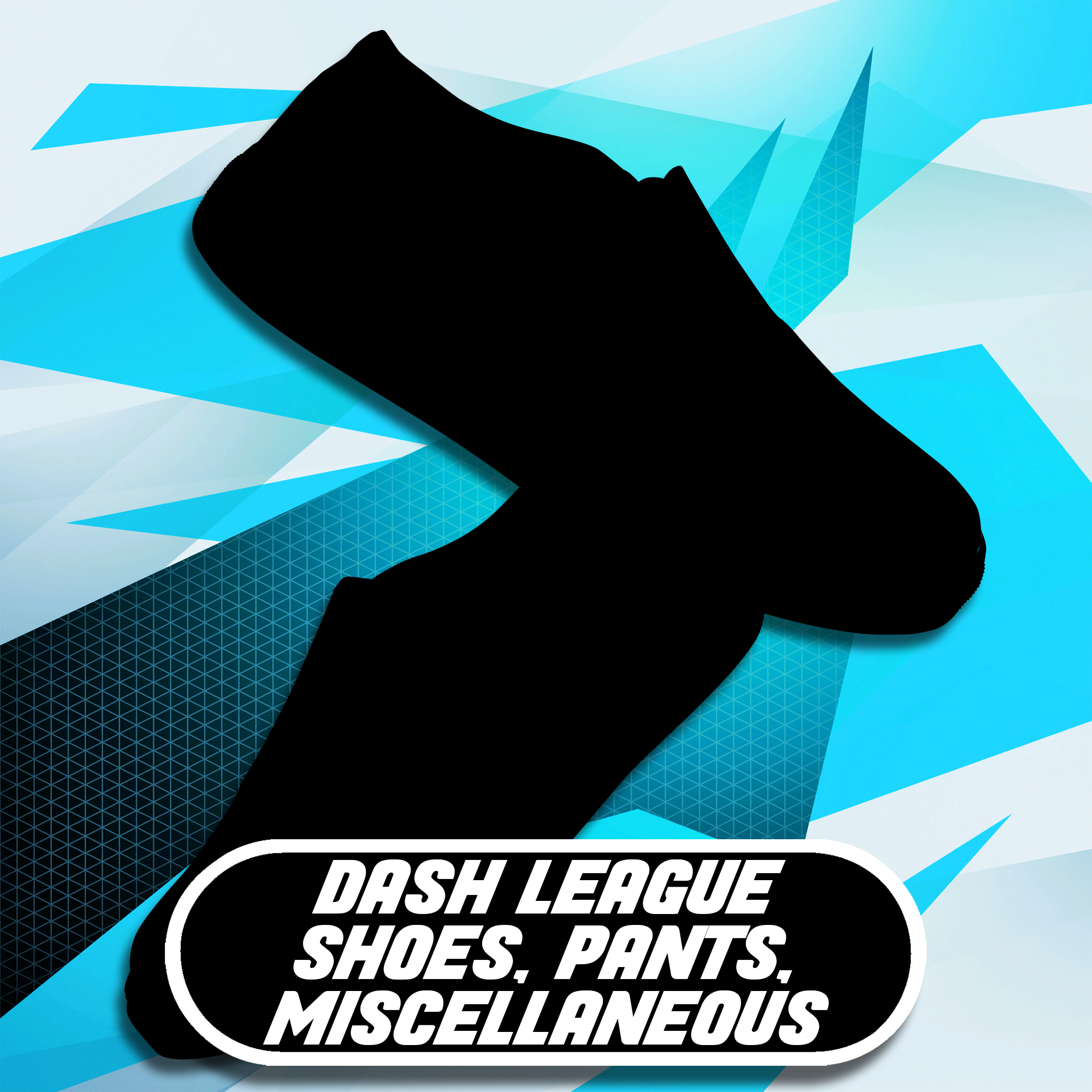 Dash League Shoes, Pants, Miscellaneous – Dash League Merch